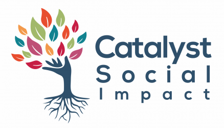 What I Do - Catalyst Social Impact